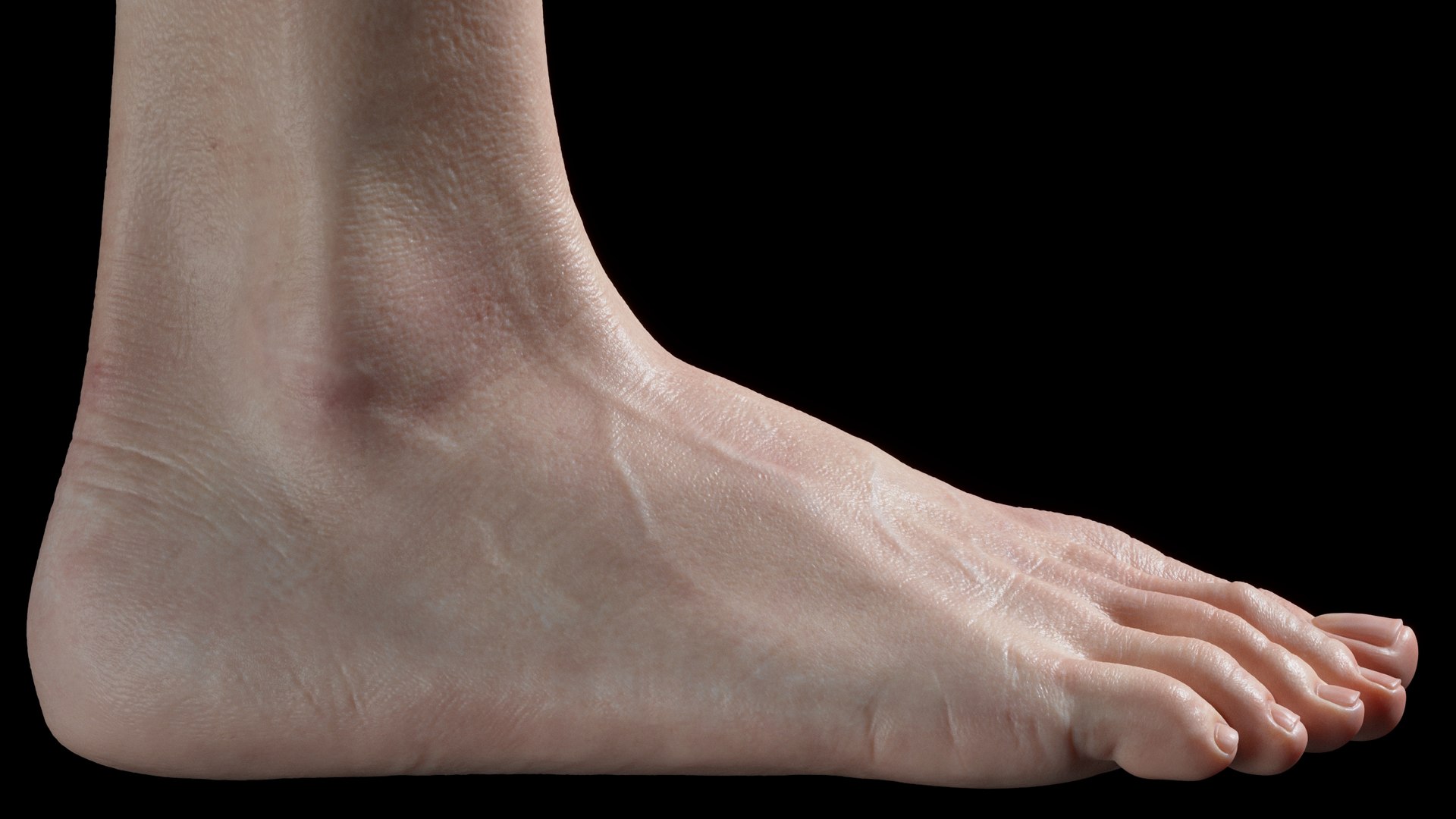 Feet realistic model - TurboSquid 1693716