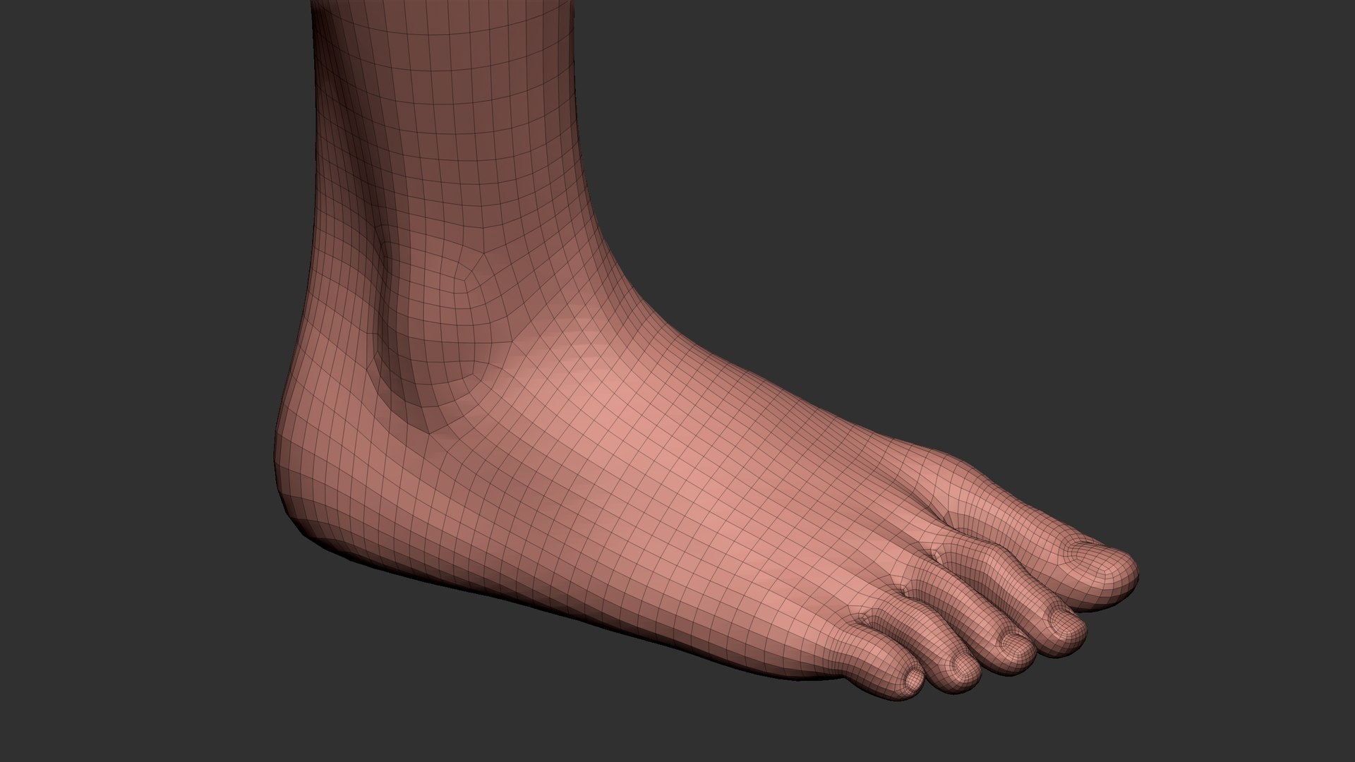 Feet realistic model - TurboSquid 1693716