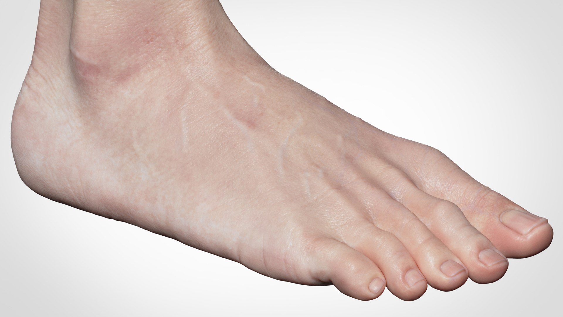 Feet realistic model - TurboSquid 1693716