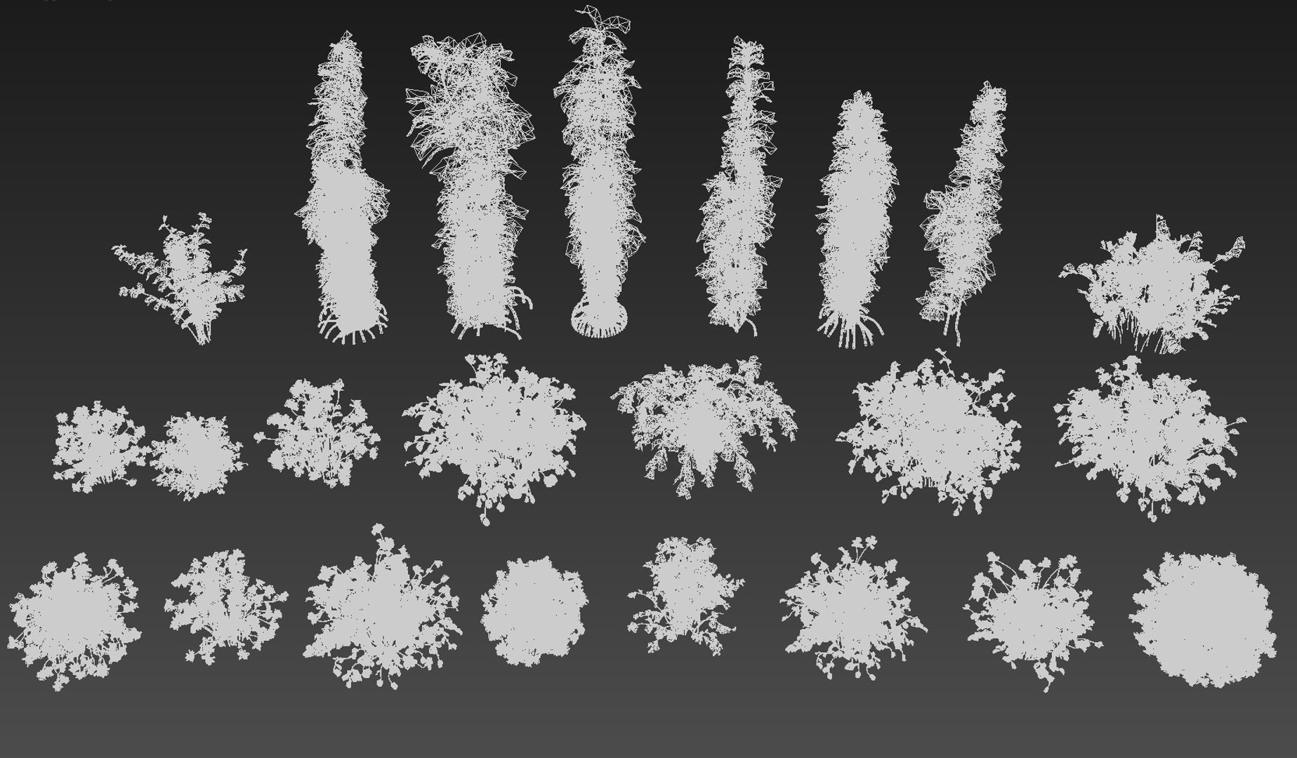 Animated Italian Plantation 3D Model - TurboSquid 1788860