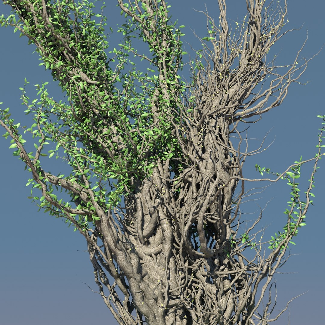 3ds max plant tree vegetation