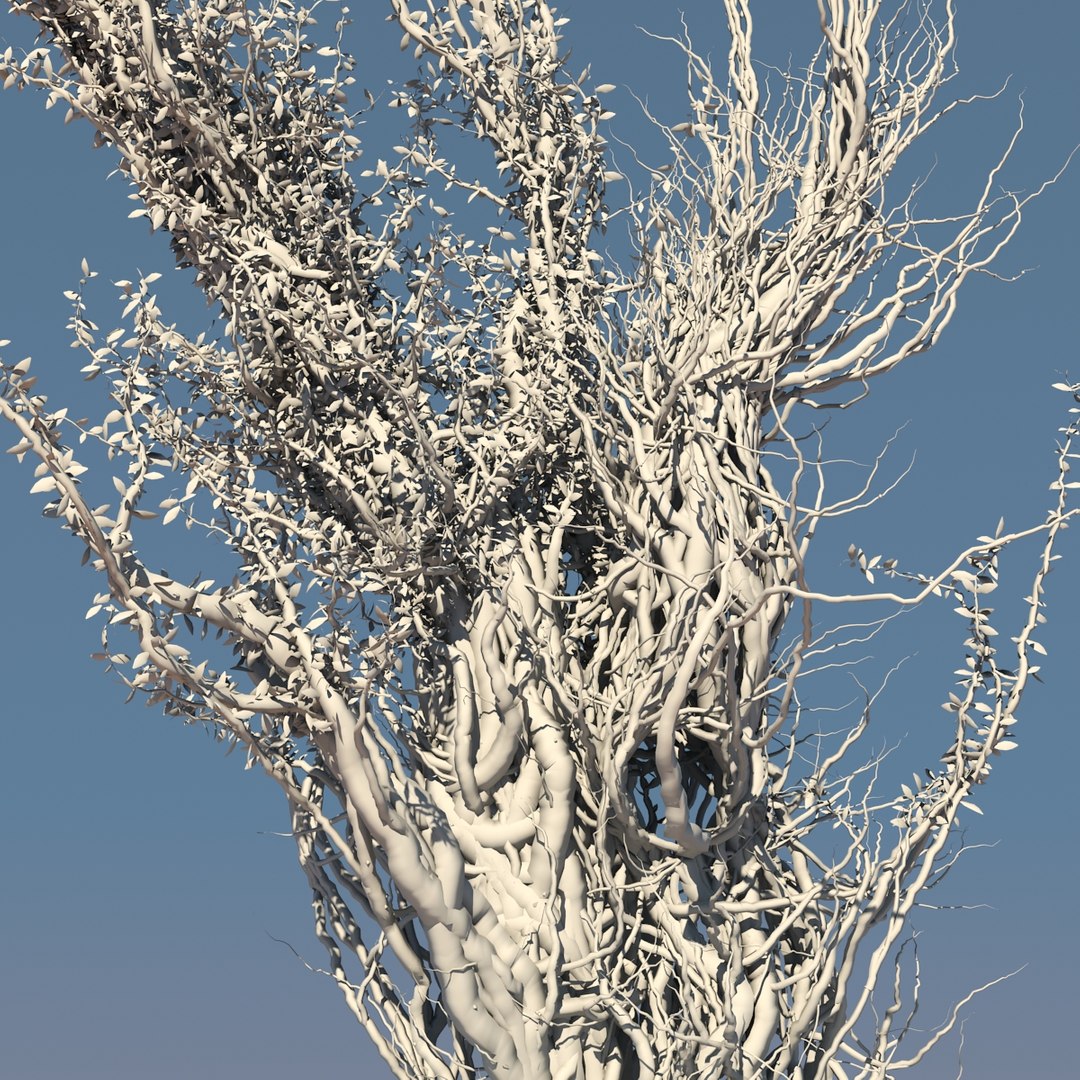 3ds max plant tree vegetation