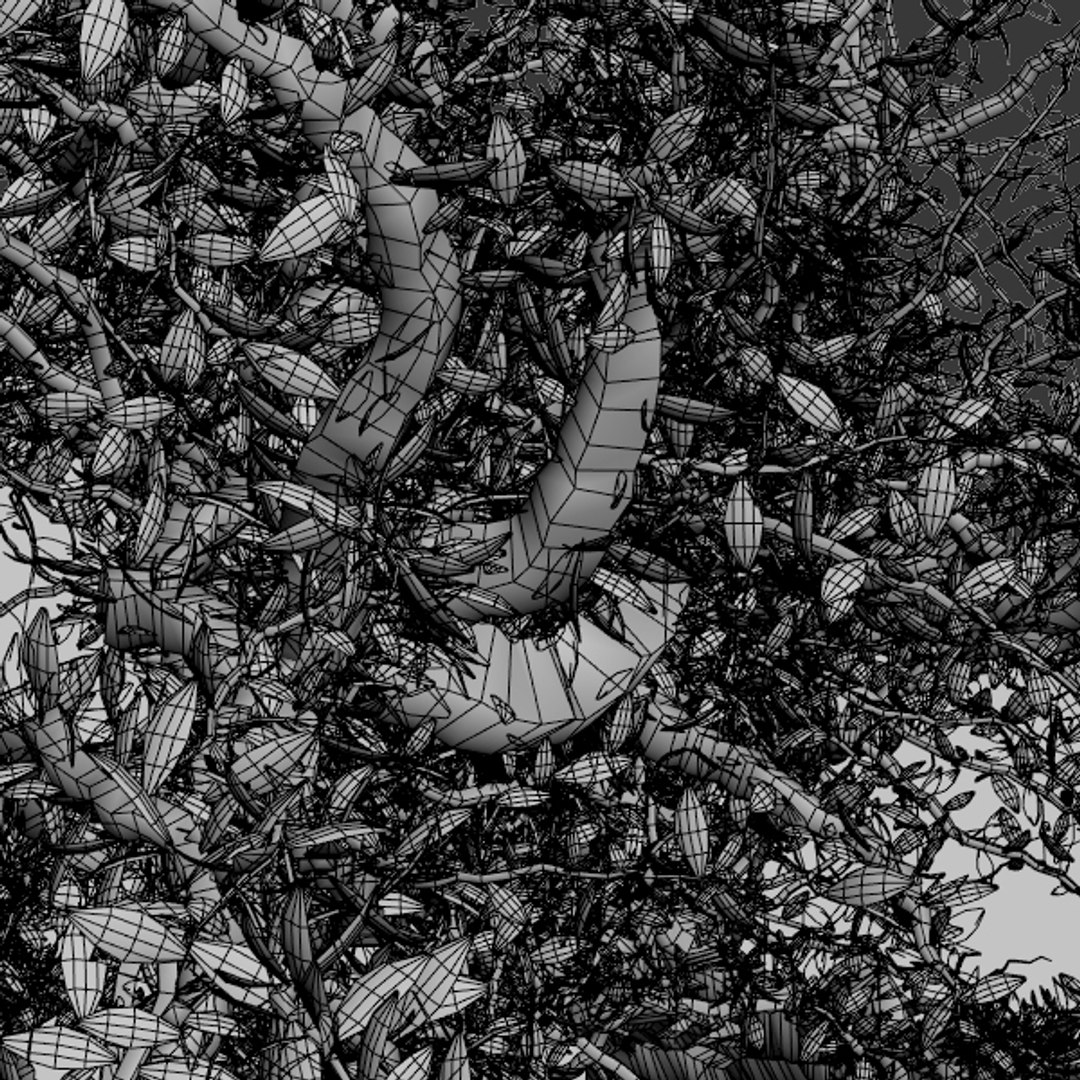 3ds max plant tree vegetation