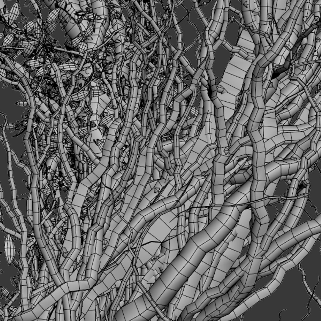 3ds max plant tree vegetation