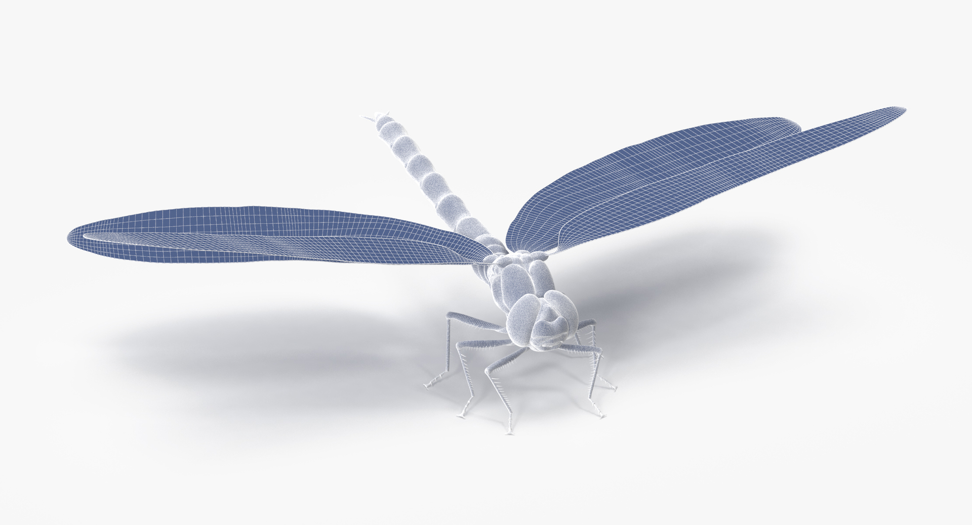 3d dragonfly rigged model