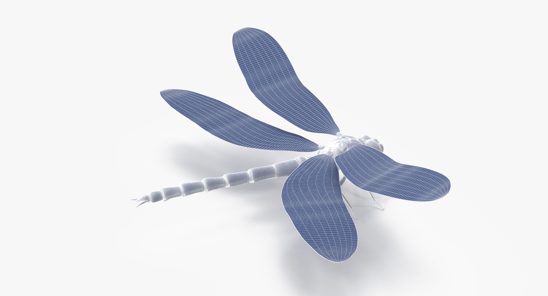 3d dragonfly rigged model