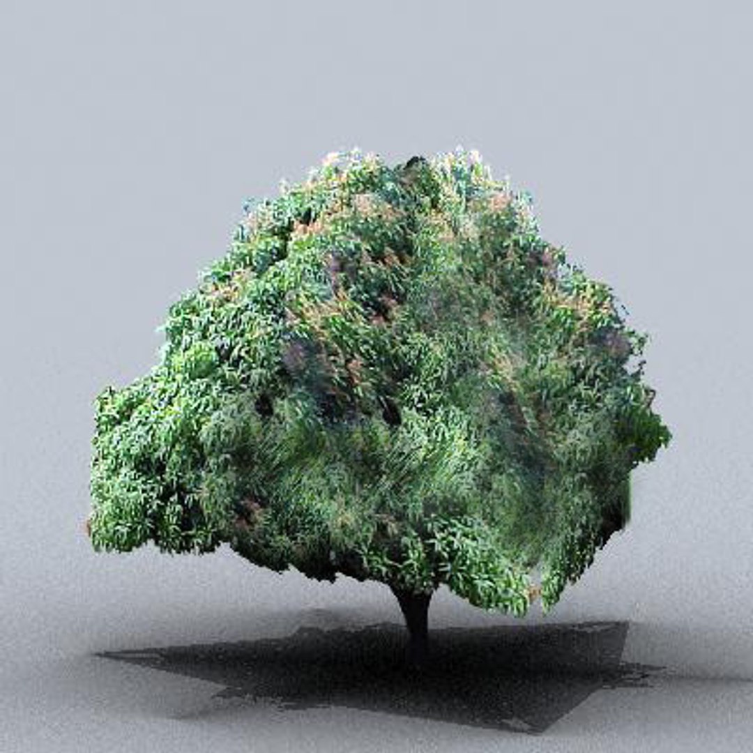 3d Fruit Trees Model