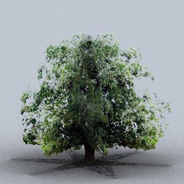 3d fruit trees model