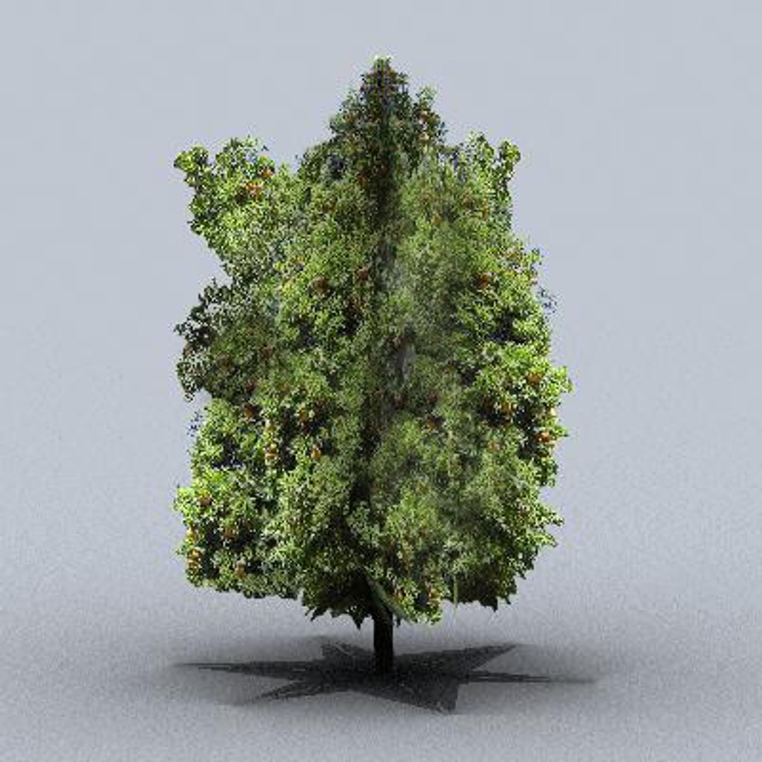 3d Fruit Trees Model