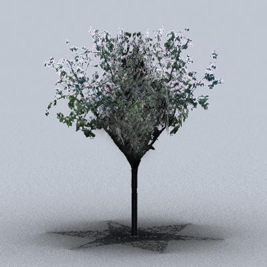 3d Fruit Trees Model