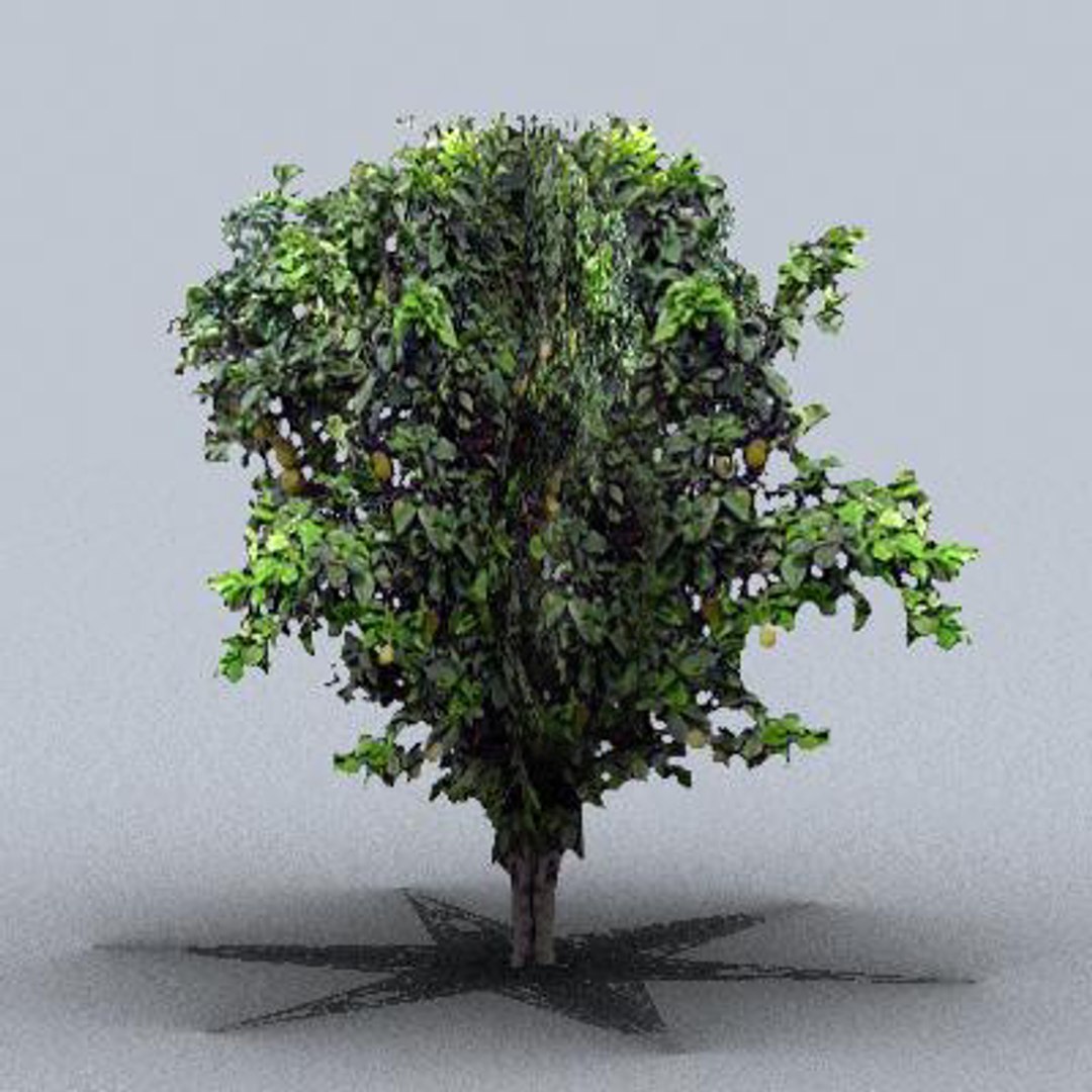 3d Fruit Trees Model