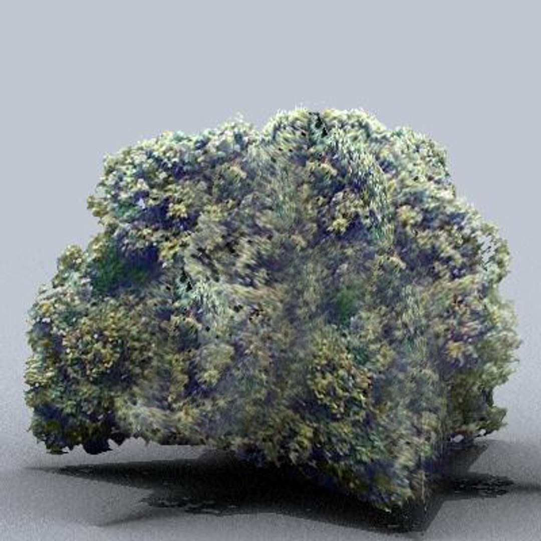 3d Fruit Trees Model
