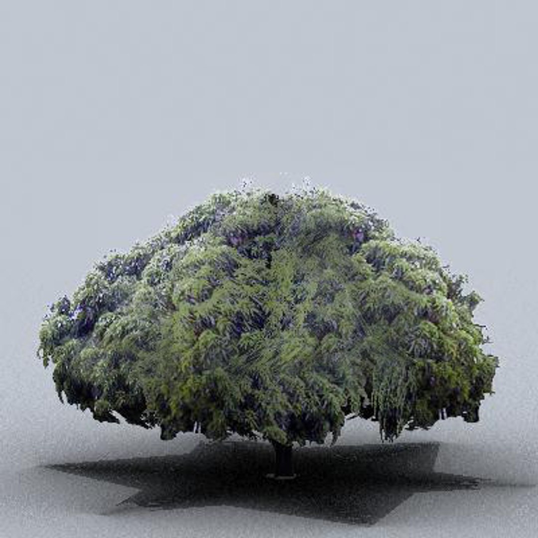 3d Fruit Trees Model