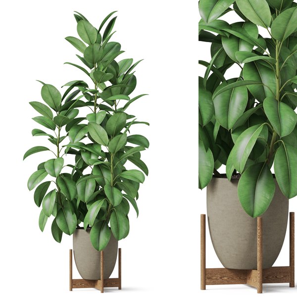 3D Plants collection 817 - TurboSquid 1963730