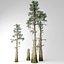 Bald Cypress Tree 3D Model - TurboSquid 1523644