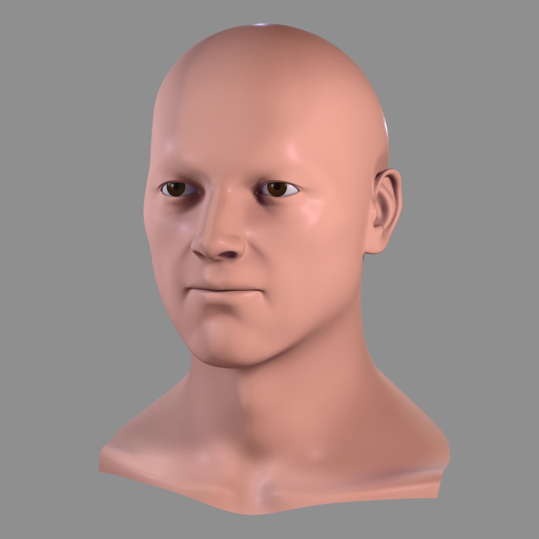 Realistic Male Head 3d Model