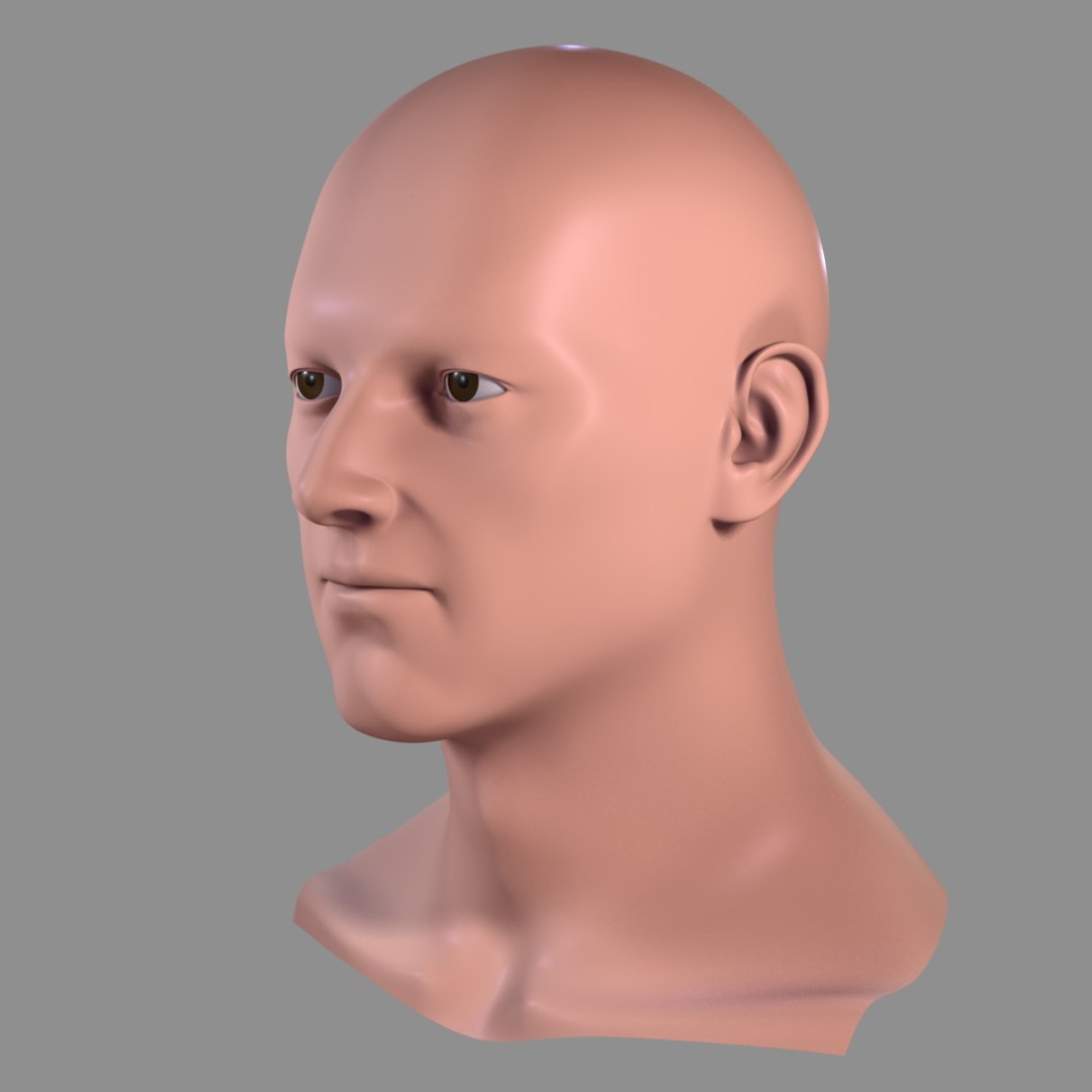 Realistic Male Head 3d Model
