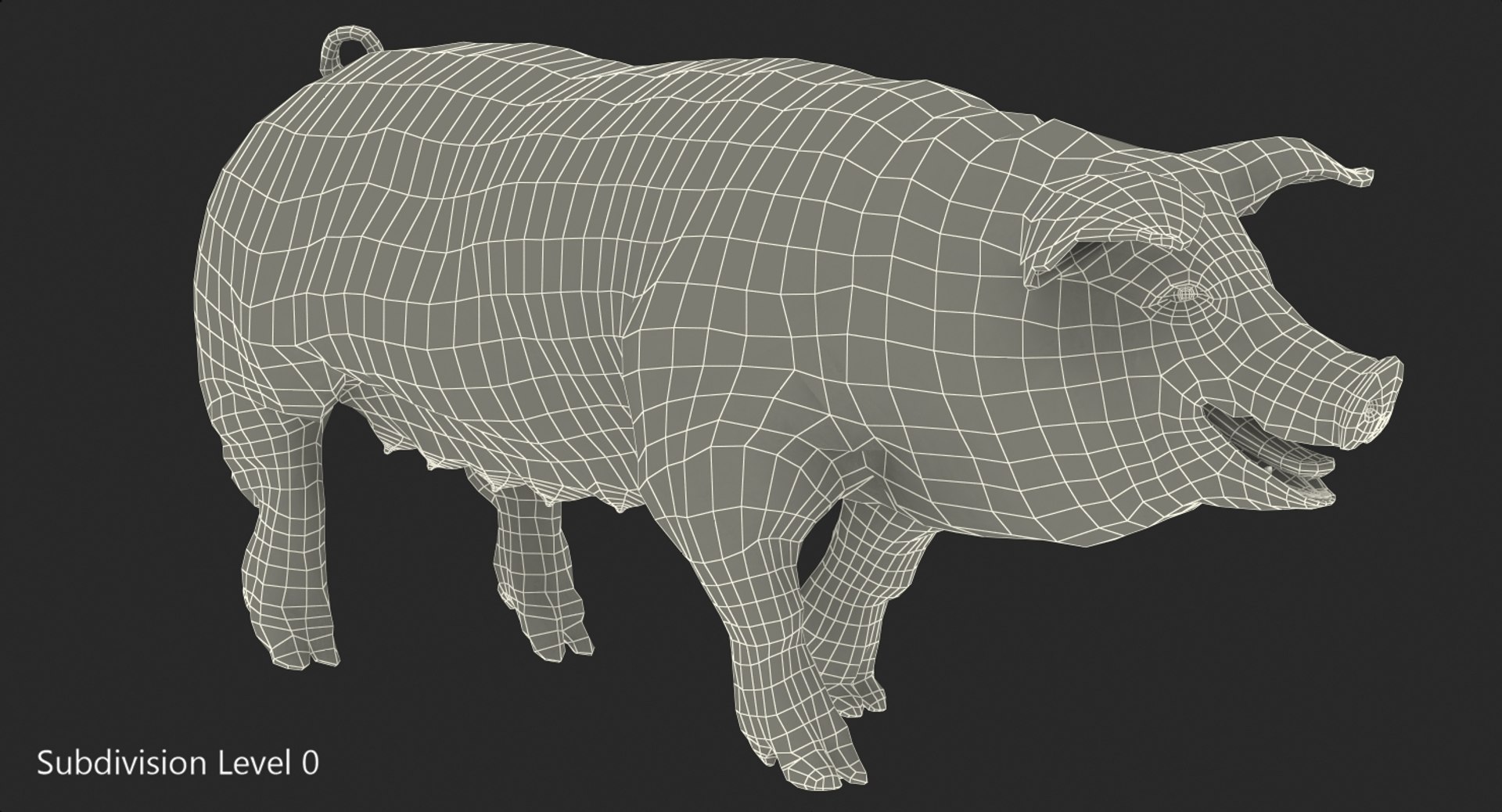 Pig Sow Landrace Walking 3D Model - TurboSquid 1357830