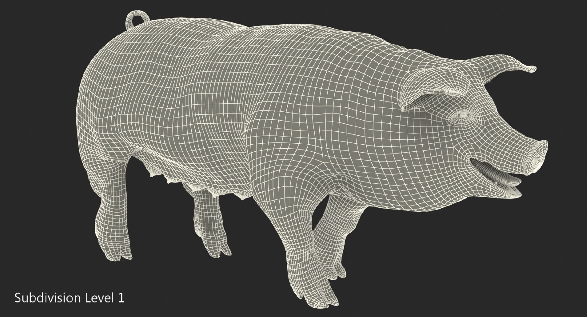 Pig Sow Landrace Walking 3D Model - TurboSquid 1357830