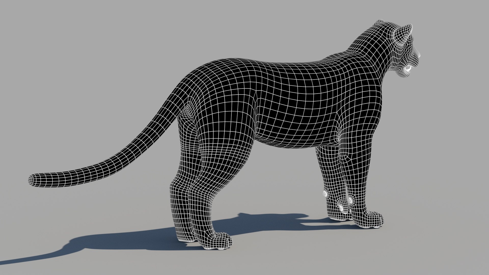 3D model Rigged Sri Lankan Leopard 3D Model - TurboSquid 2096213
