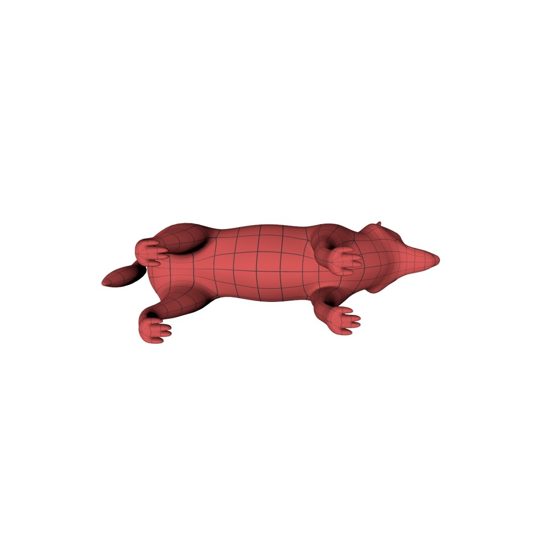 base mesh wolf c4d