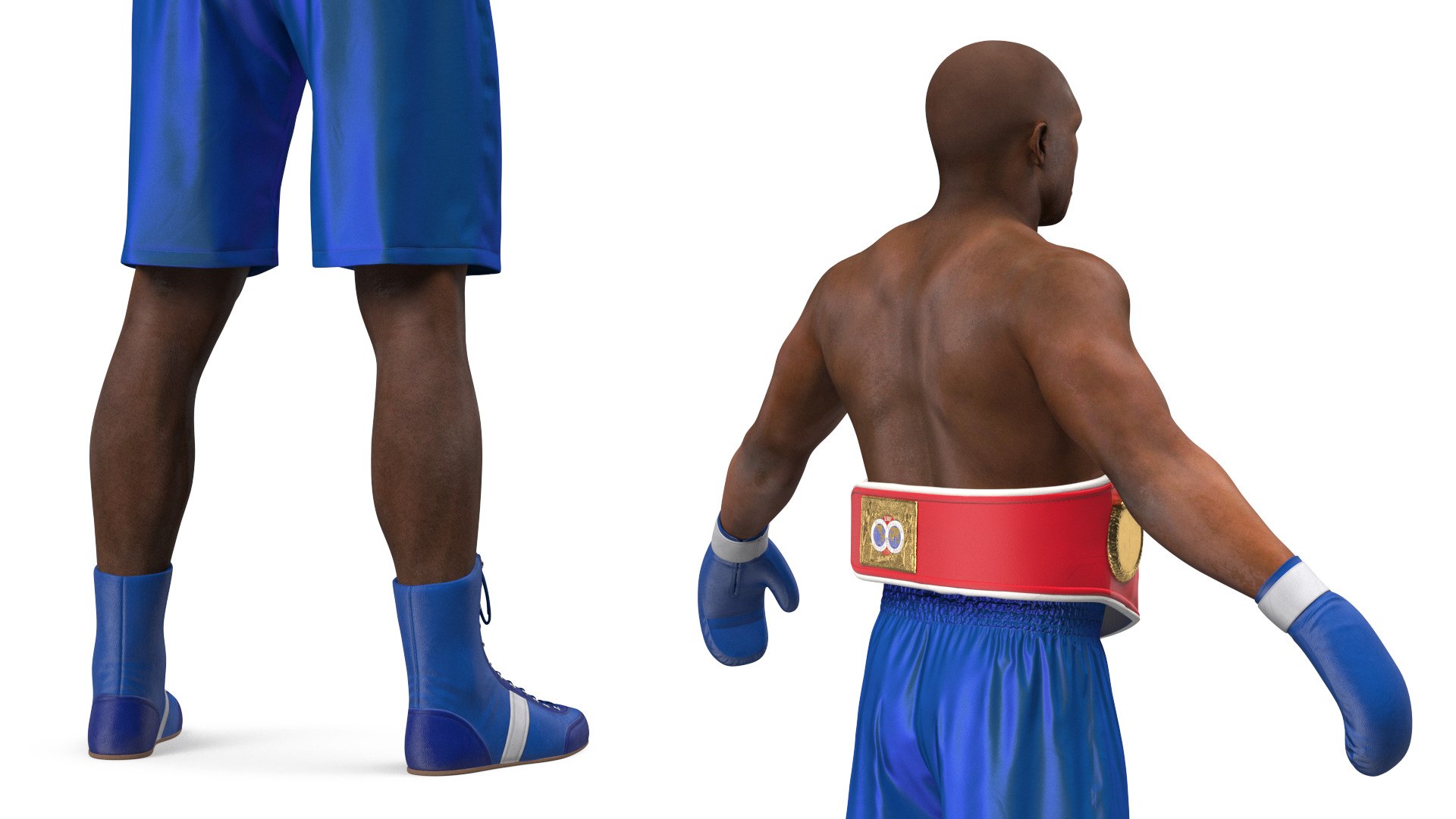 3D International Boxing Federation Champion Rigged - TurboSquid 2123540