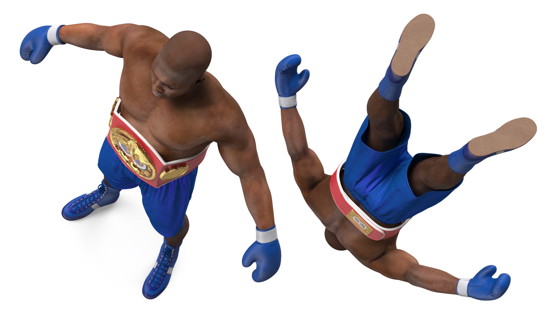 3D International Boxing Federation Champion Rigged - TurboSquid 2123540