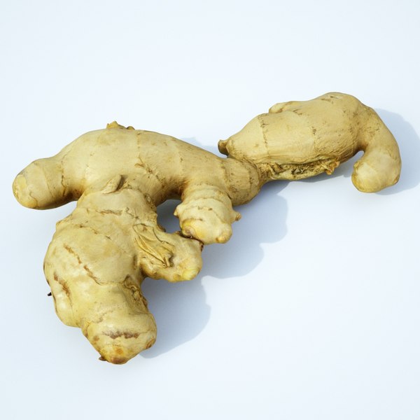 modelo 3d Jengibre 4 - TurboSquid 1443695