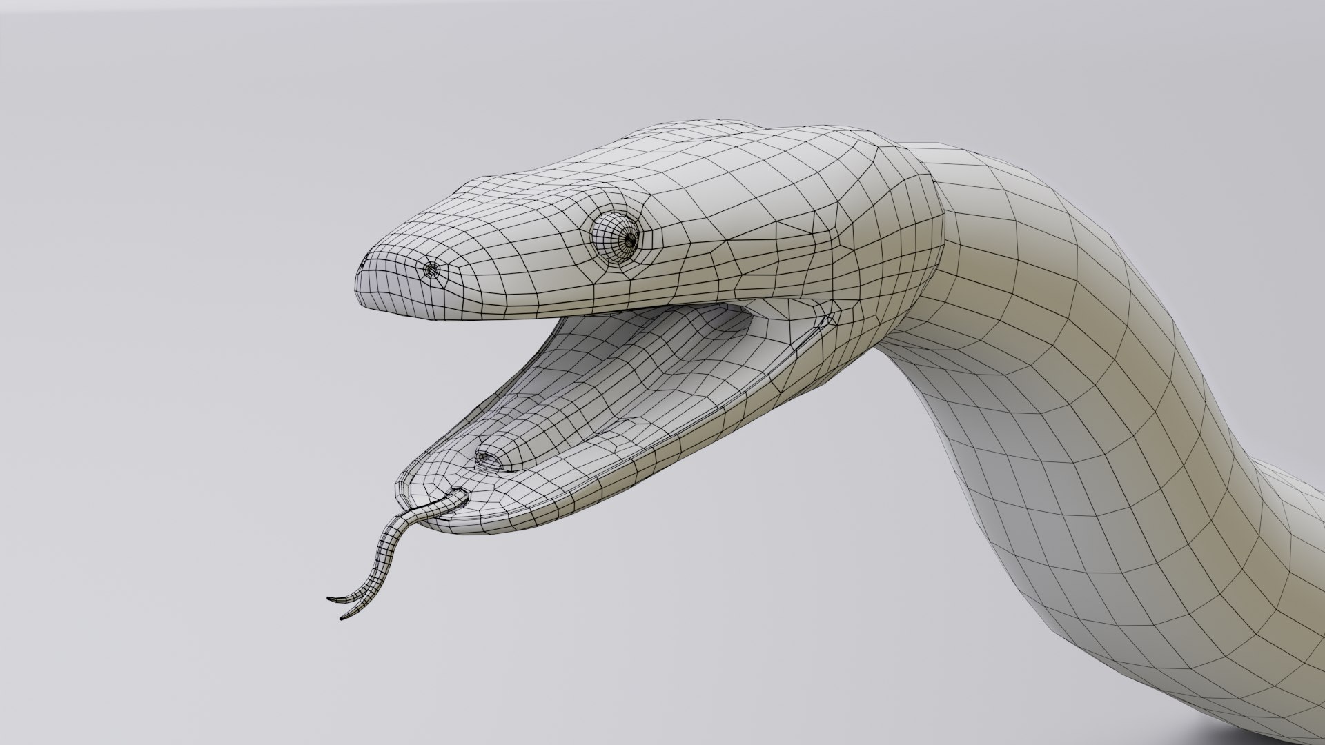 Boa Constrictor Mesh 3D Model - TurboSquid 1775167