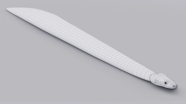 Boa Constrictor Mesh 3D model - TurboSquid 1775167