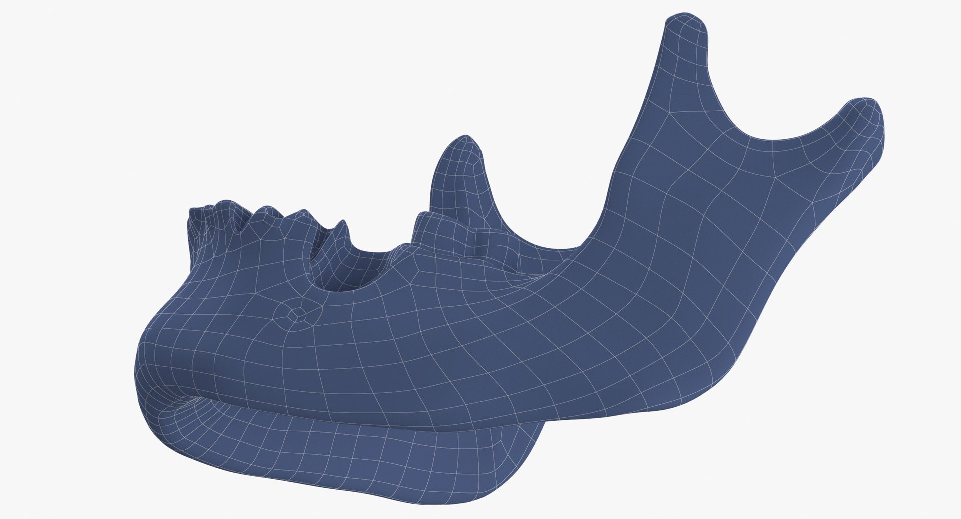 Human Jawbone Mandible 02 3D Model - TurboSquid 1547302