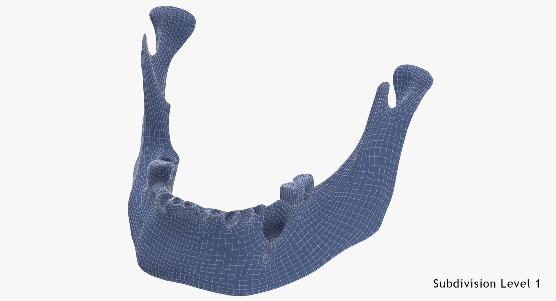 Human jawbone mandible 02 3D model - TurboSquid 1547302