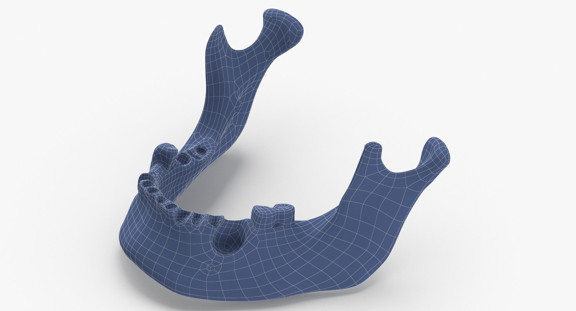 Human Jawbone Mandible 02 3D Model - TurboSquid 1547302