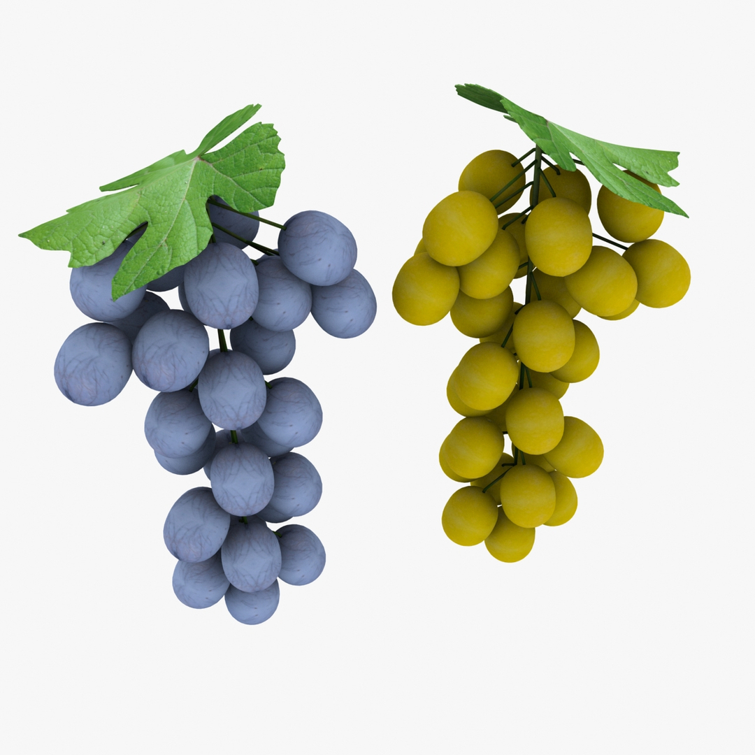 3d blue grapes model