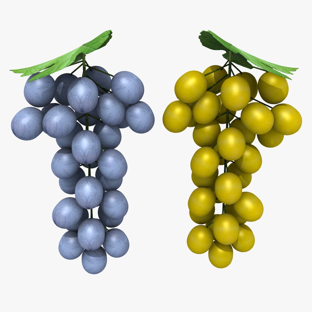 3d Blue Grapes Model