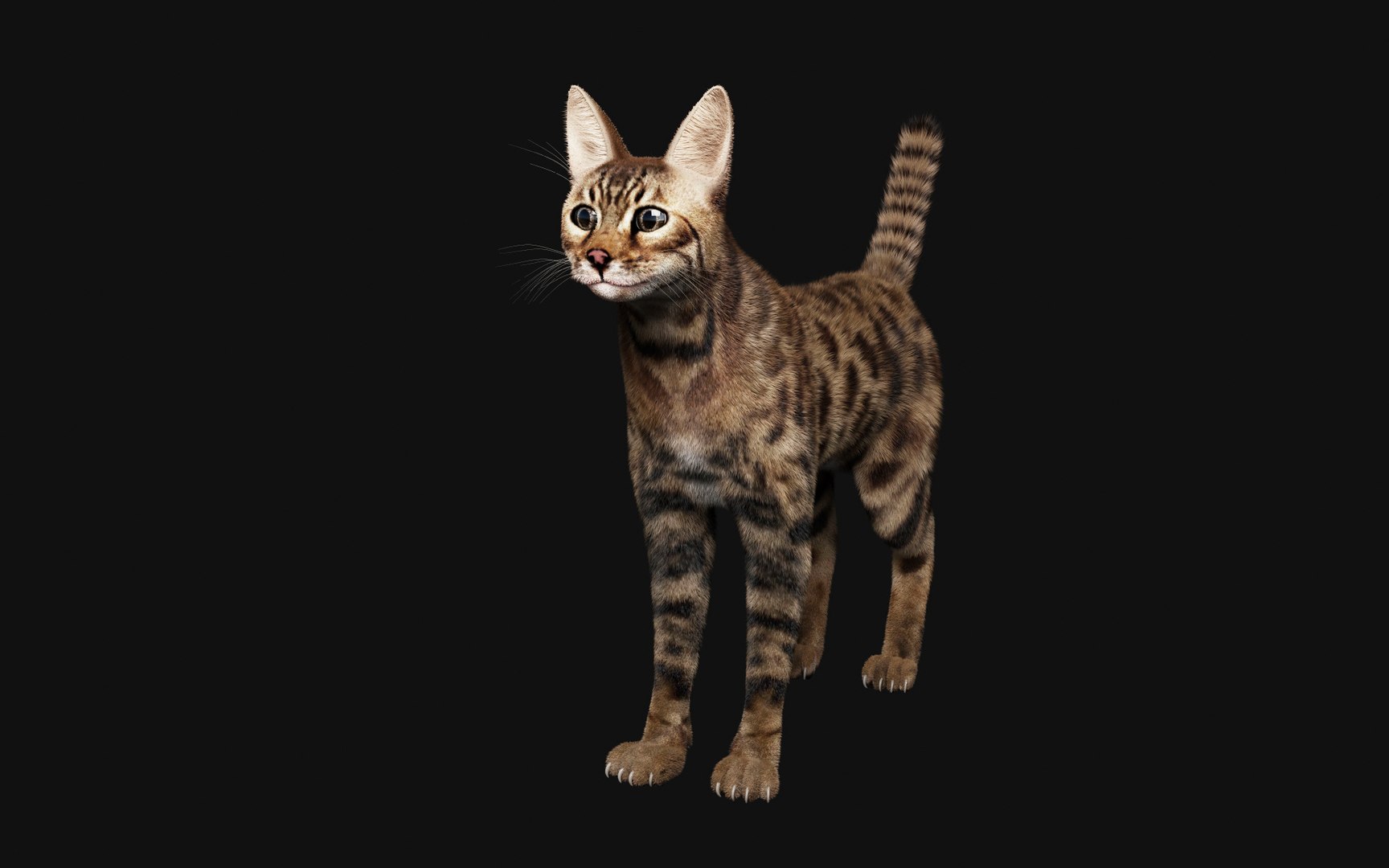 Bengal Cat Model - TurboSquid 1257274