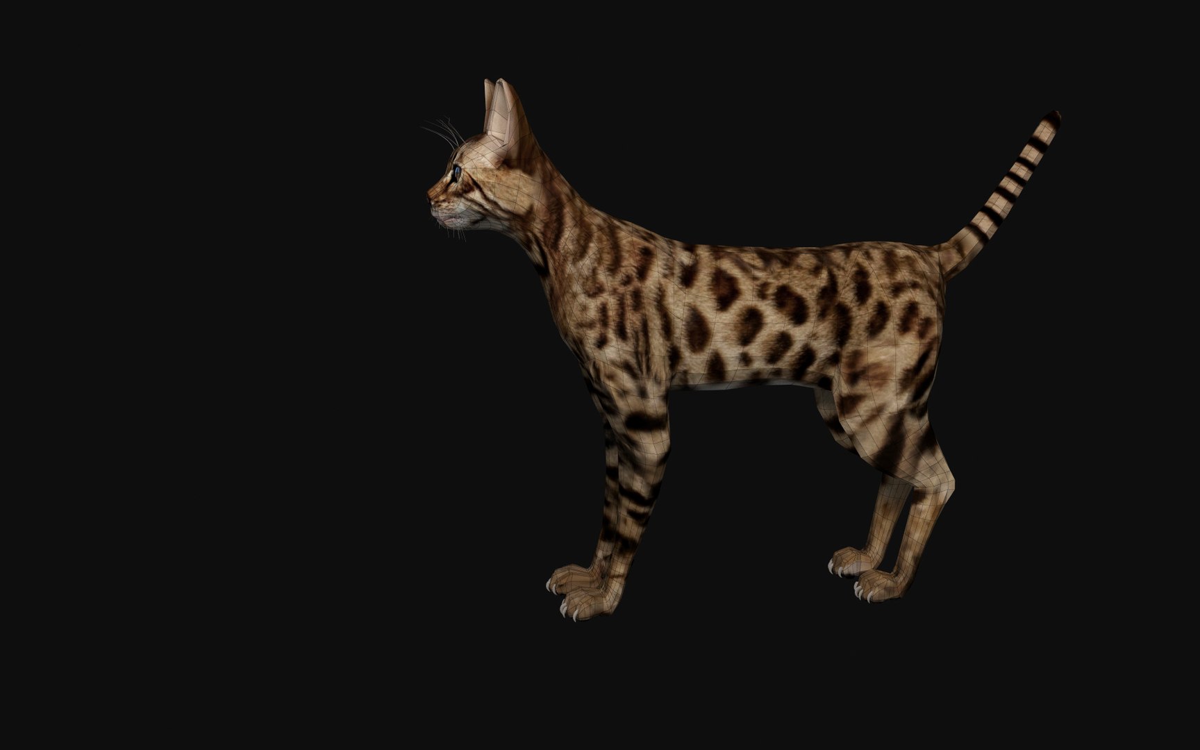 Bengal Cat Model - TurboSquid 1257274