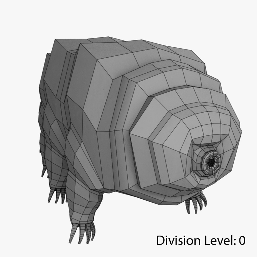 Tardigrade Water Bear 3d Model