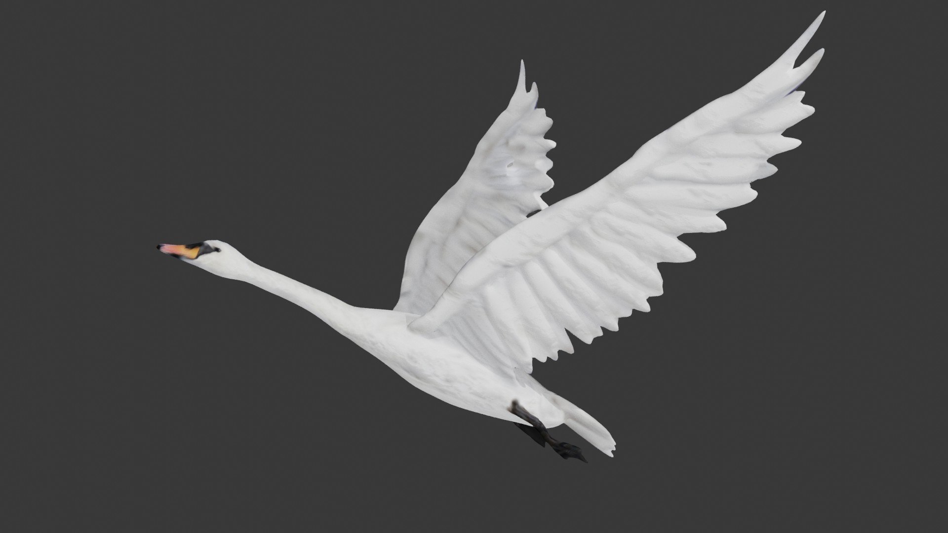 Fully Rigged Low Poly Flying Swan 3D Model - TurboSquid 1746511