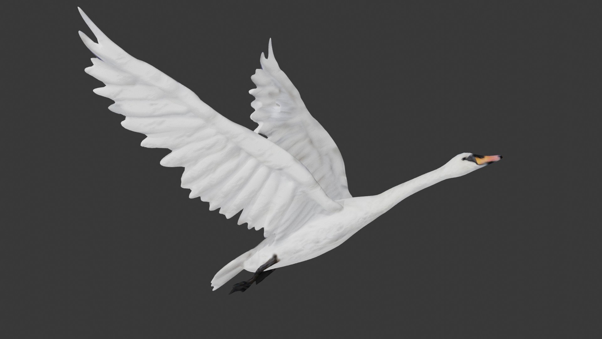 Fully Rigged Low Poly Flying Swan 3D Model - TurboSquid 1746511
