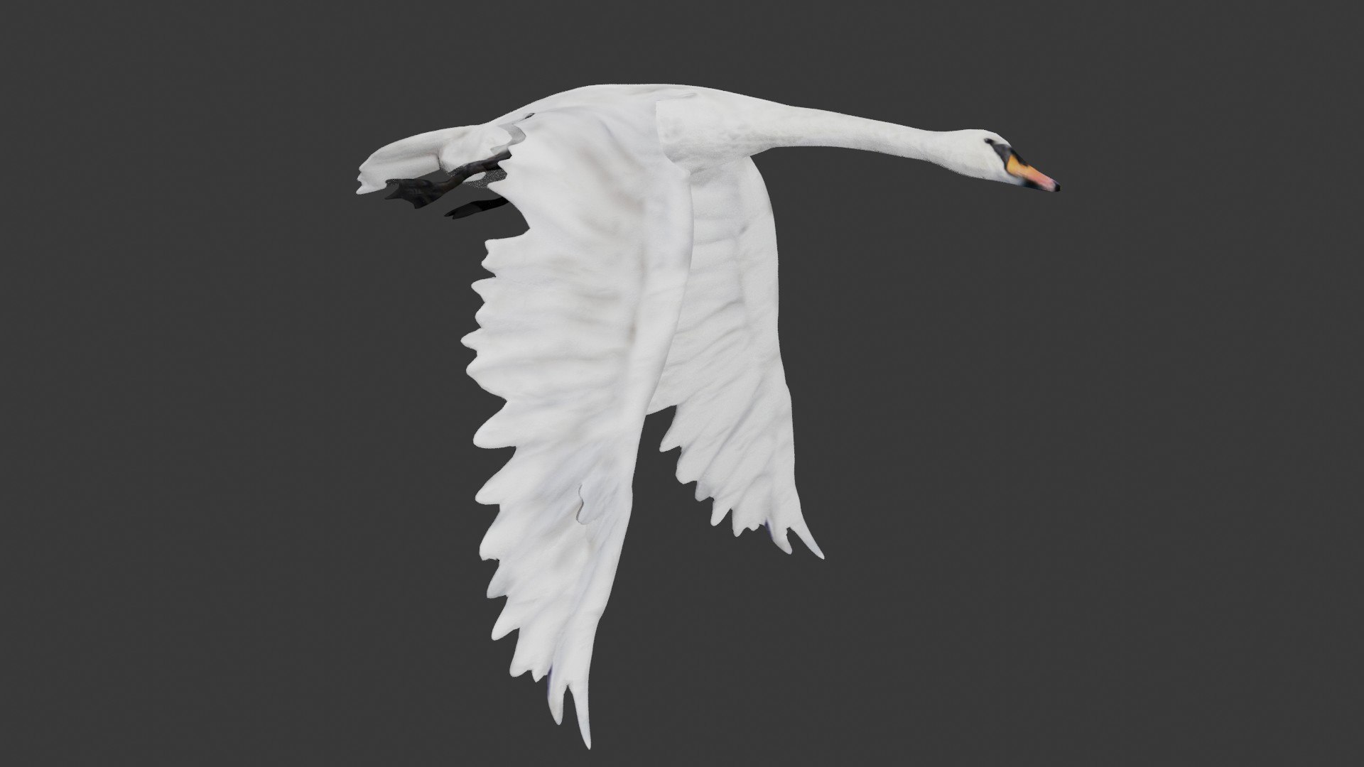 Fully Rigged Low Poly Flying Swan 3D Model - TurboSquid 1746511