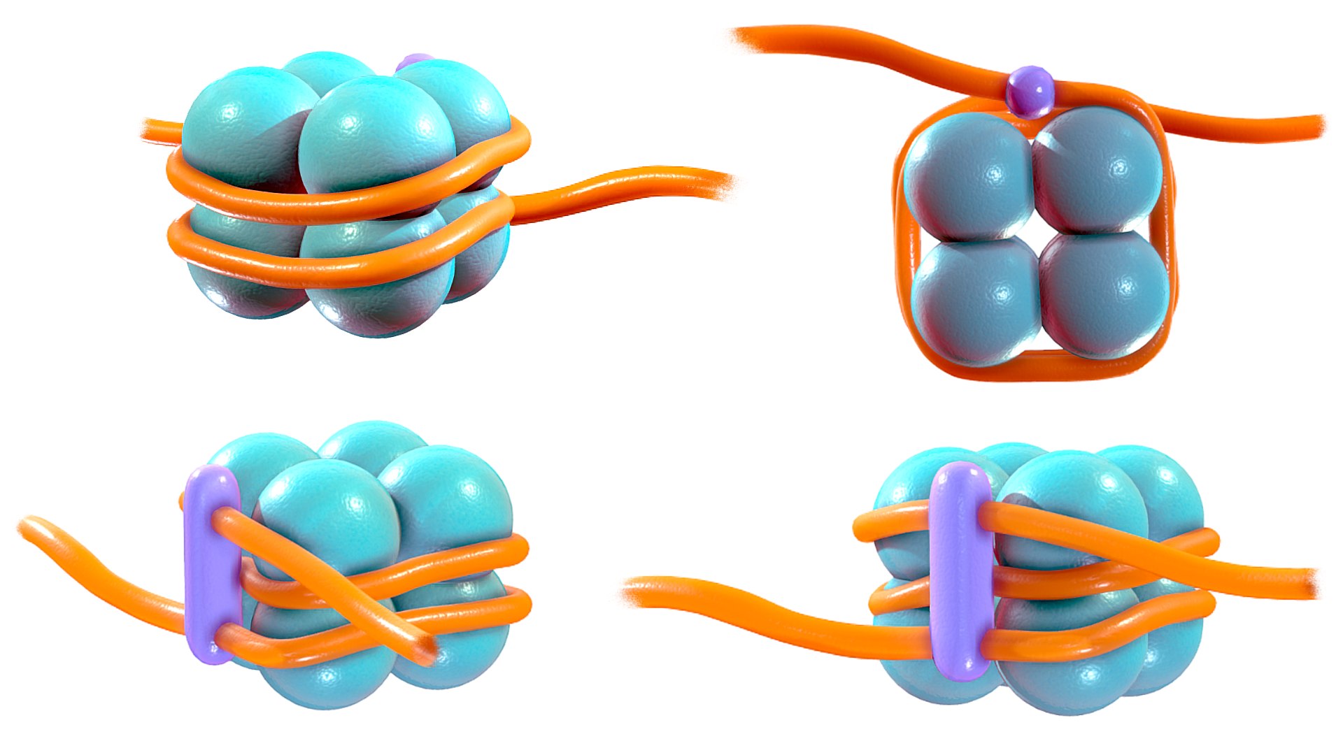 Histone Structure 3D Model - TurboSquid 2128642