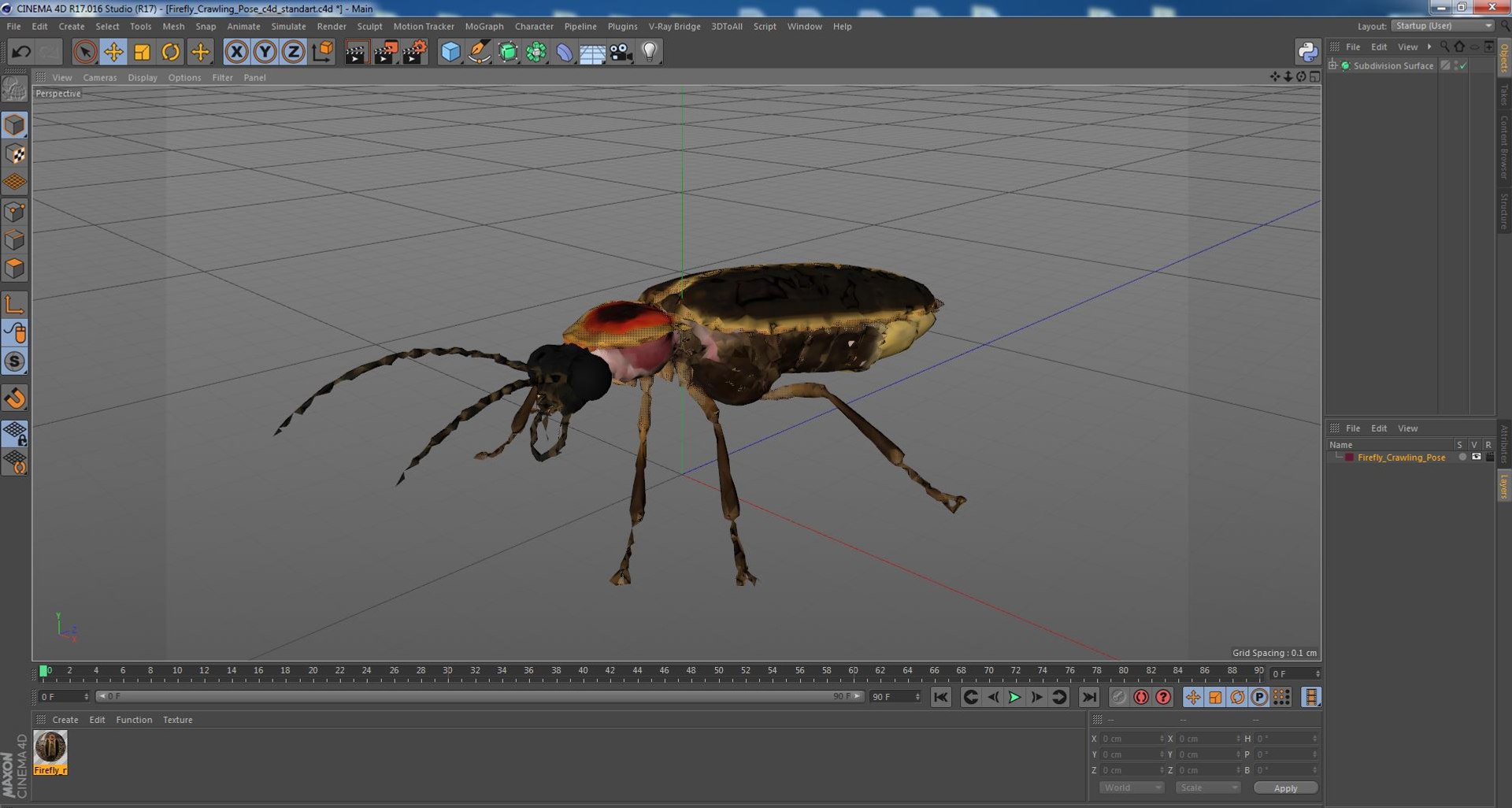 3D Model Firefly Crawling Pose - TurboSquid 2171939