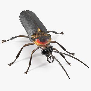 Firefly 3D Models for Download | TurboSquid