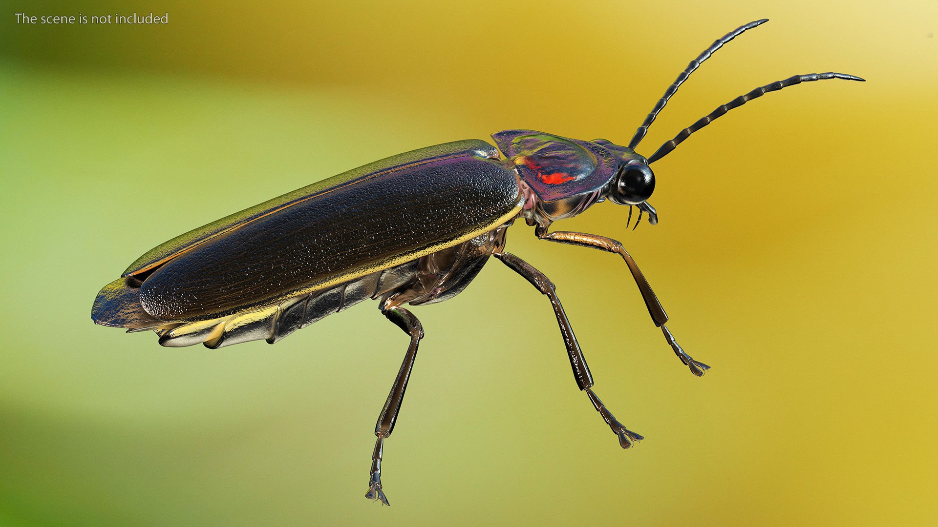 3D Model Firefly Crawling Pose - TurboSquid 2171939