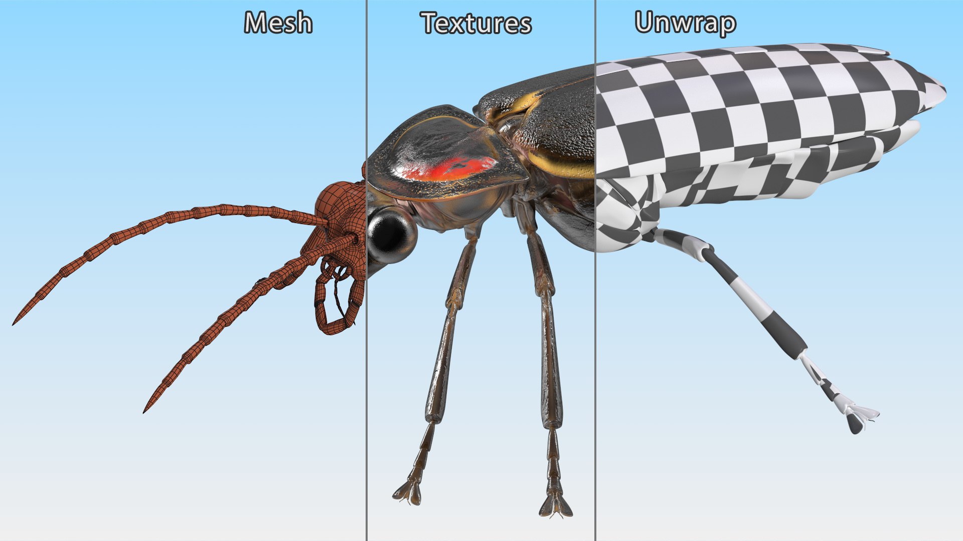 3D Model Firefly Crawling Pose - TurboSquid 2171939