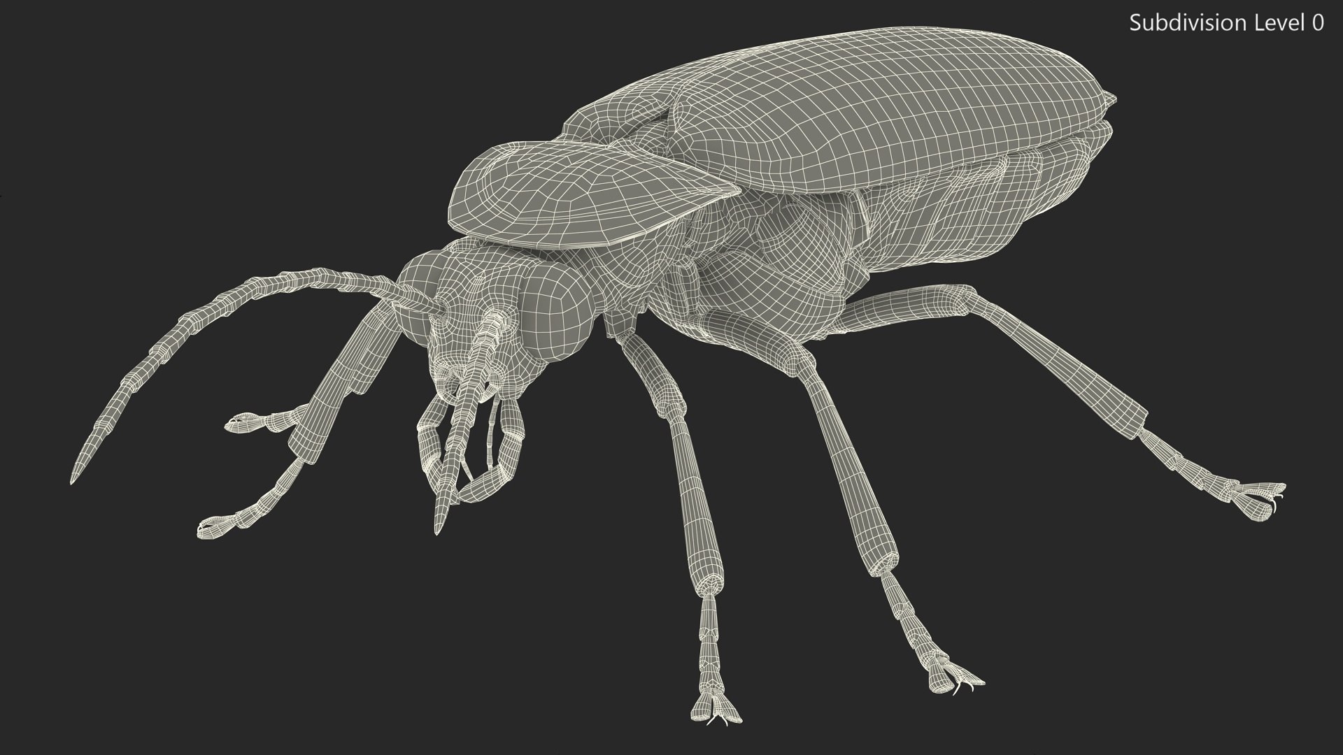 3D Model Firefly Crawling Pose - TurboSquid 2171939