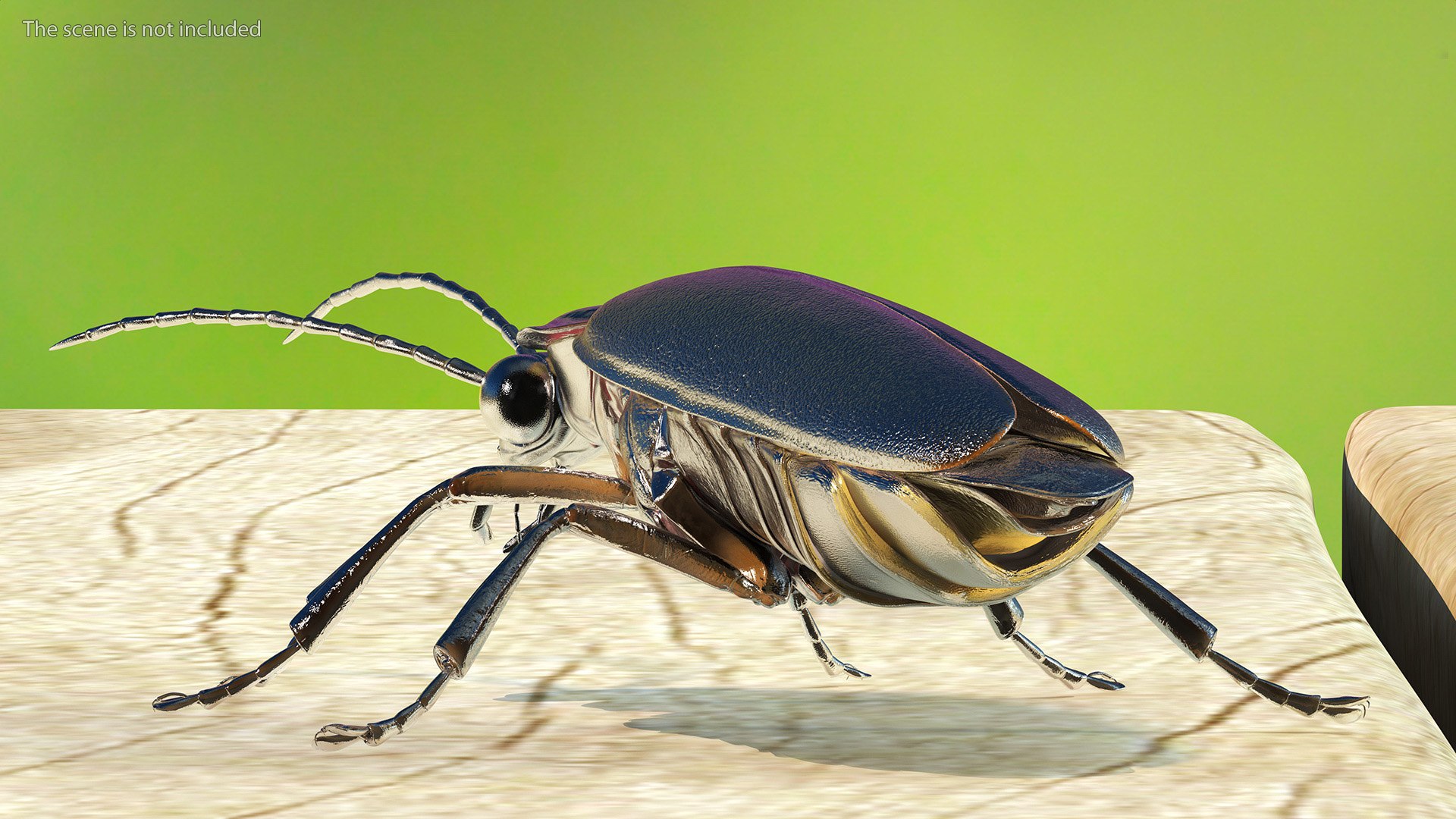 3D Model Firefly Crawling Pose - TurboSquid 2171939