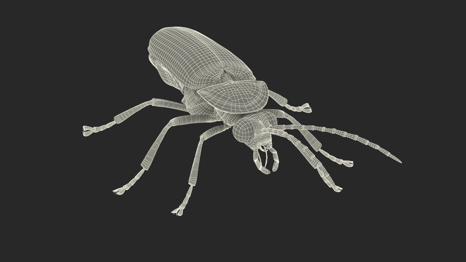3D Model Firefly Crawling Pose - TurboSquid 2171939