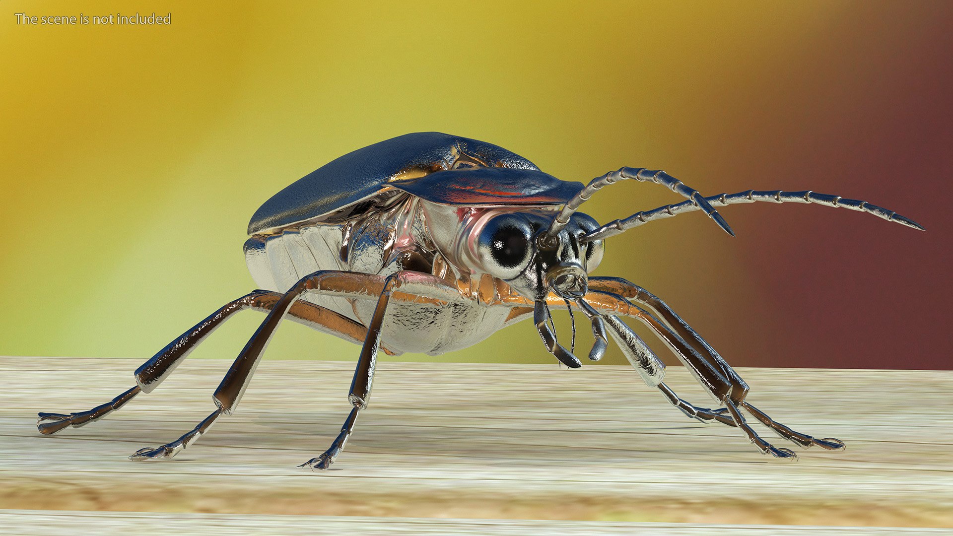 3D Model Firefly Crawling Pose - TurboSquid 2171939